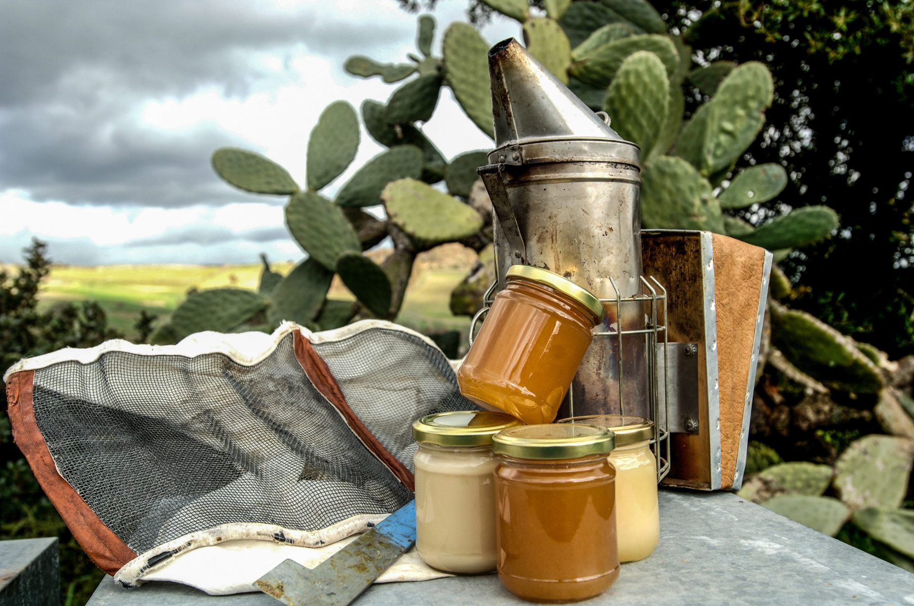 Bee Bucks – The Cost of Beekeeping - Backyard Beekeeping